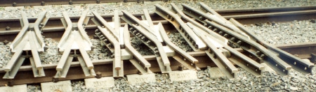 Frogs - Nortrak-Damy